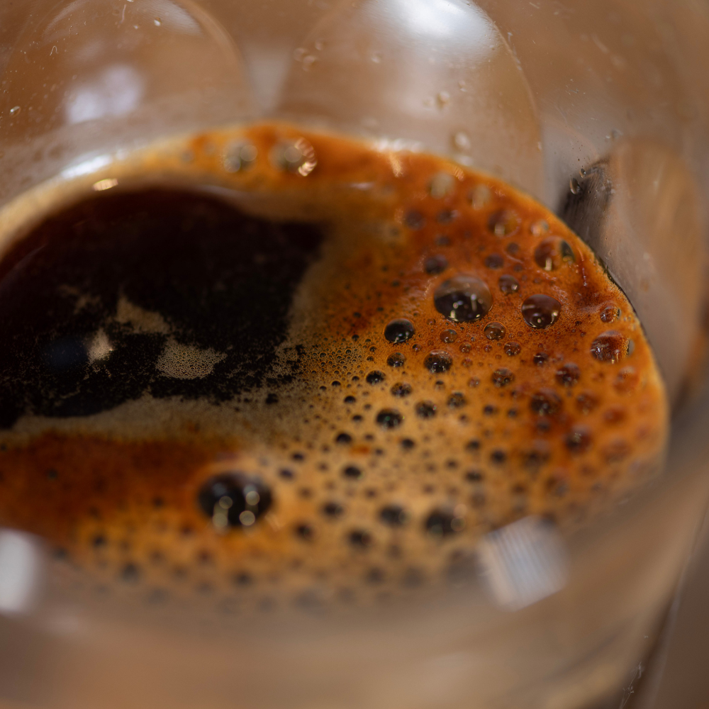 Not Coffee Now (Instant) SAMPLE bundle